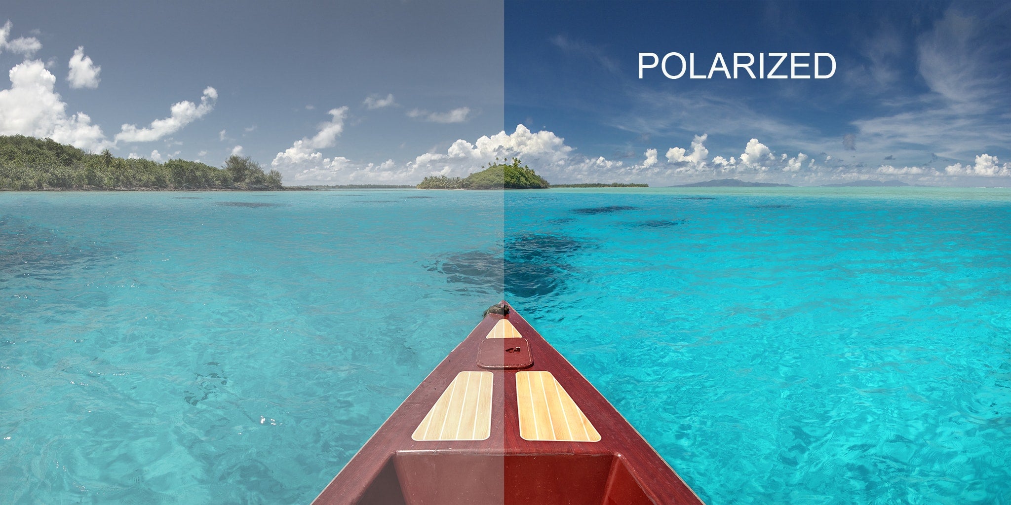 Polarized Sunglasses 🕶️ – COC Eyewear